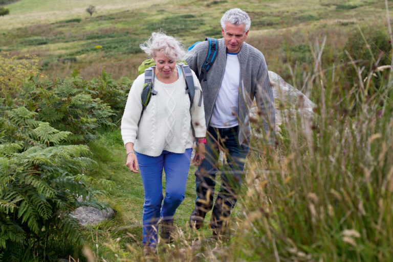 PROTEOR DynaStep - Proteor USA